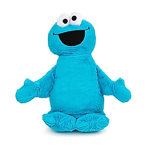 Jay Franco Sesame Street Plush Stuffed Cookie Monster Large Pillow Buddy - Super Soft Polyester Microfiber, 22 inch (Official Sesame Street Product)
