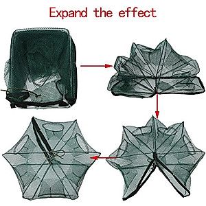 Automatic Fishing Trap Net Nylon Foldable Fishing Bait Trap Fishing Gear for Crab Minnow Shrimp(6 Hole)