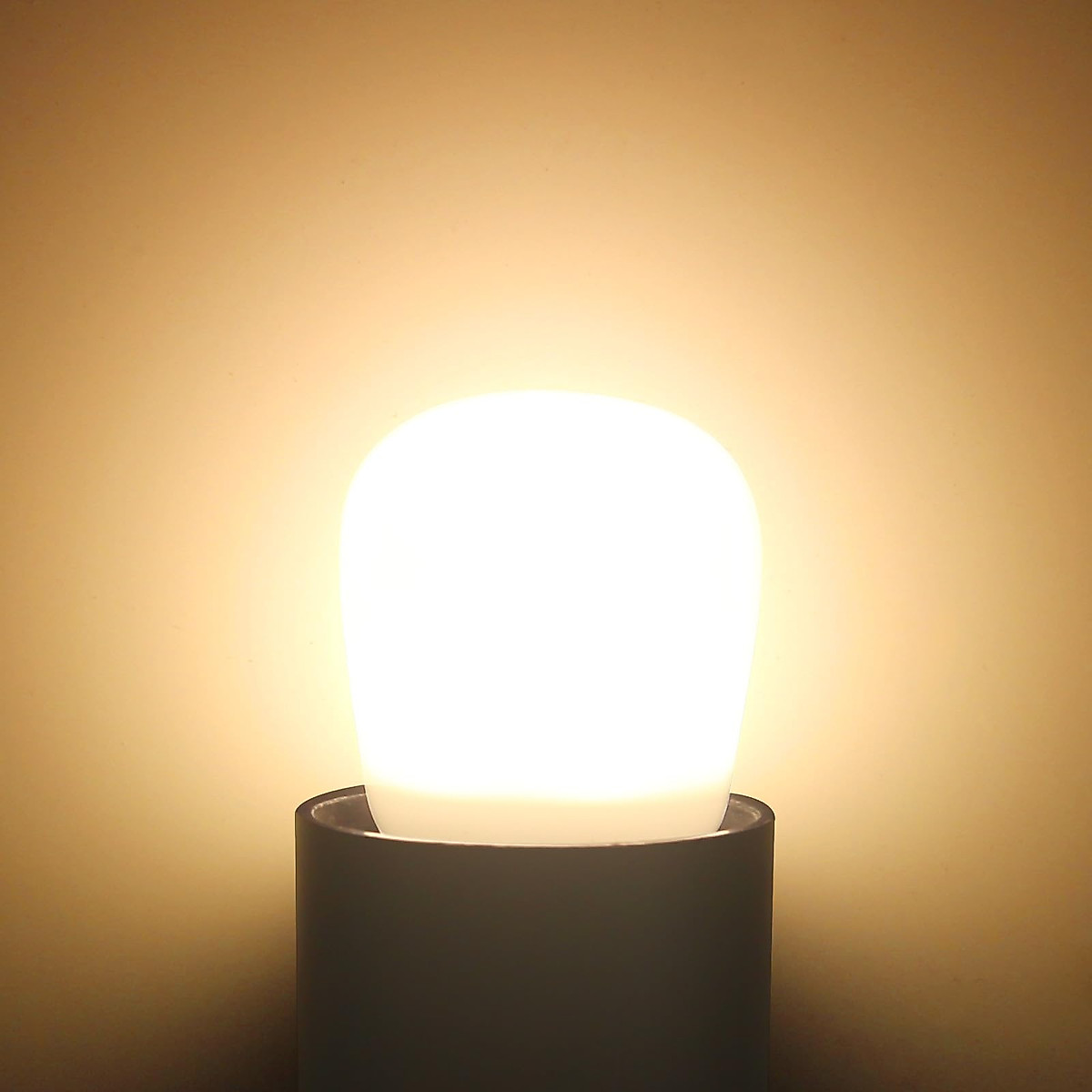 Poeland 1.5W LED Bulb Light 120V E14 Base Pack of 2 Warm White