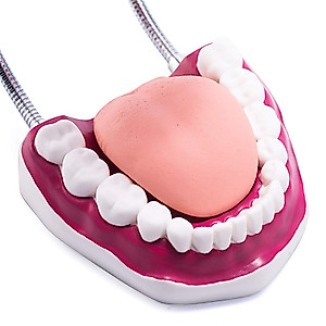 Easyinsmile Mouth Model for Speech Therapy 6 Times Enlarge Dental Tooth Brushing Model with Tube Bent Teeth Care