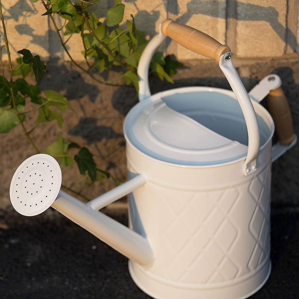 HORTICAN 1 Gallon Watering Can with Wooden Handles, White Metal Can with Removable Spout, Perfect for Indoor and Outdoor Plants