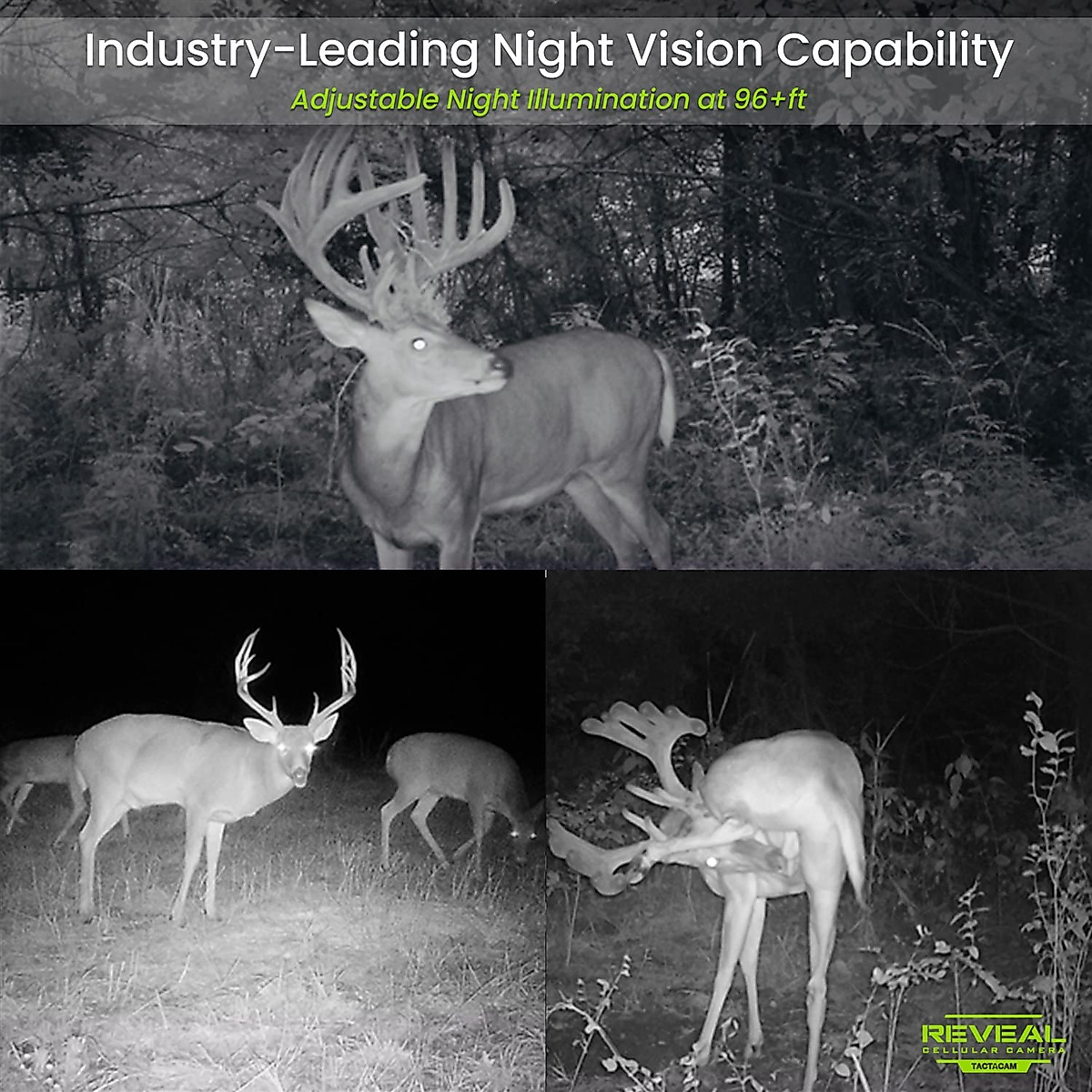 TACTACAM Reveal X Cellular Trail Camera - Verizon (2 Pack)