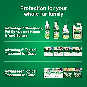 Advantage Dog Flea Treatment Spray | Kills Fleas & Ticks | Dog Flea Spray | 8 oz.