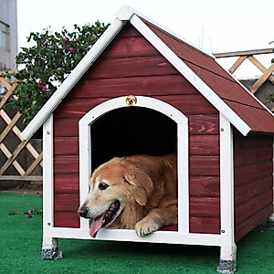 BENBO 1500 Pcs Zoo Animal Stickers, 1 Inch Cute Puppy Stickers Rolls Dog Cat Stickers Realistic Cute Kitten Labels for Party Favor Holiday Envelope Seal Scrapbooking Stickers Classroom Reward Stickers