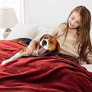Bertte Plush Throw Super Soft Fuzzy Warm Blanket | 330 GSM Lightweight Fluffy Cozy Luxury Decorative Stripe Blanket for Bed Couch - 50"x 60", Burgundy