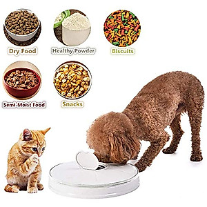 ZZK Pet Bowl pet Supplies six Grid Dog/cat pet Feeder timed Reminder Voice Dry and Wet Food LCD programmable Automatic Dispenser,A