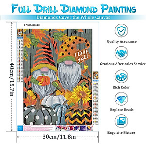 DaiCur Diamond Painting Kits, 9 Pack Gnome Diamond Art Kits for Adults, DIY 5D Round Full Drill Crafts Diamond dotz Home Wall Decor Gifts (12x16inch)