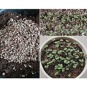 Organic Vermiculite Granules for Plants and Gardening (20 Quarts)