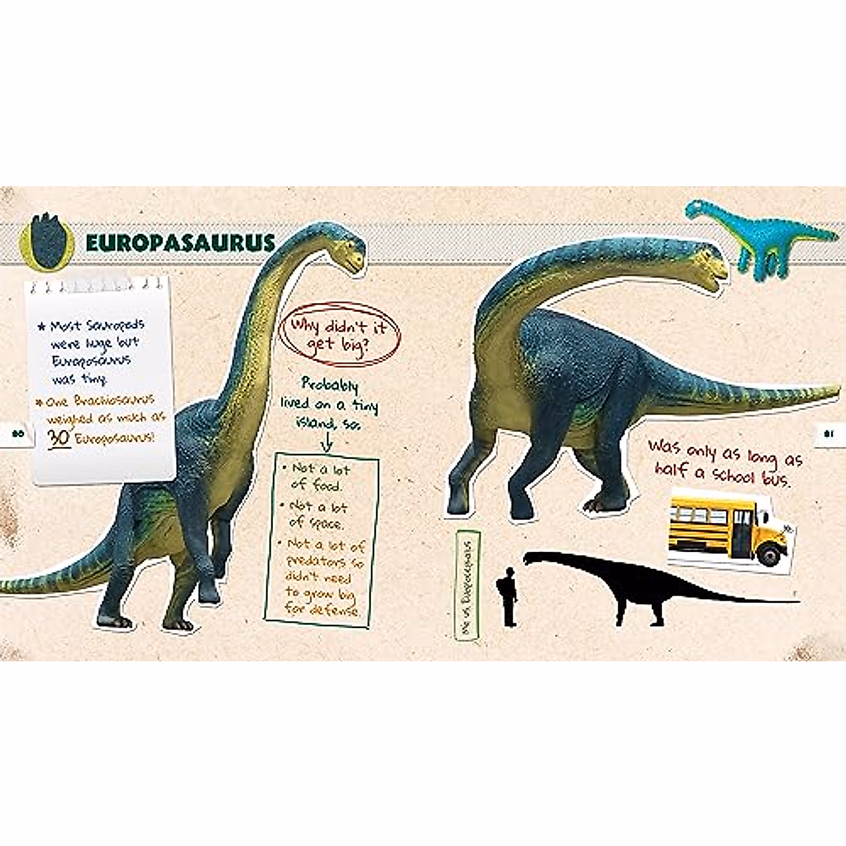 Dino Dana: Dino Field Guide (Dinosaur gift)