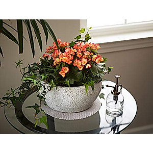 EasyLiner Select Grip Shelf Liner for Drawers & Cabinets - Easy to Install & Cut to Fit - Non Slip Non Adhesive Grip Shelf Liner Kitchen, Bathroom, Pantry - 20in. x 6ft.- 6 Roll Project Pack - White