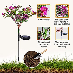 Solar Lights Outdoor Garden Decorative, 2 Pack Solar Powered Phalaenopsis Flowers Lights Design, Upgraded Solar Lights Outdoor Waterproof IP65, Solar Garden Decorations - Gardening Gifts for Women