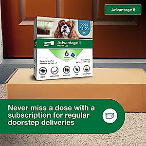 Advantage II Medium Dog Vet-Recommended Flea Treatment & Prevention | Dogs 11-20 lbs. | 6-Month Supply