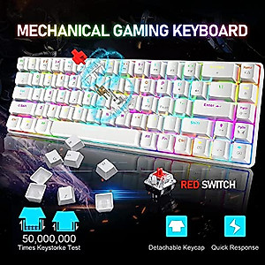 AJAZZ Gaming Keyboard and Mouse and Gaming Mouse pad and Wrist Rest,Wired RGB Backlight Bundle for PC Gamers and Xbox and PS4 Users - 4 in1 Gaming Set (Whisper Quiet Gaming Switch)