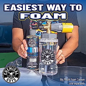 Chemical Guys CWS_995_16 Meticulous Matte Car Wash Soap (For Foam Cannons, Foam Guns or Bucket Washes) Safe for Satin & Matte Finish Paint, 16 fl oz, Fruity Bubble Gum Scent