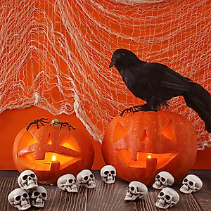 Boao 10 Pieces Halloween Skeleton Head Small Mini Skulls for Halloween Party, Halloween Decor Props, Table Decor