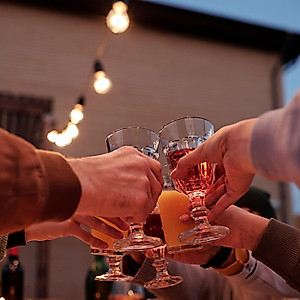 String Light Poles Outdoor with 5 Prong Fork Holiday Steel Light Pole Patio Lights Pole Garden Backyard Birthday for Parties Cafe Patio Wedding Party Terrace Decoration (Steel Pole - 1 Pack)