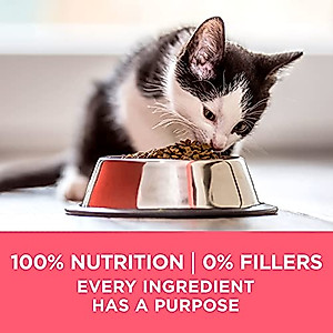 Purina ONE High Protein, Natural Dry Kitten Food, +Plus Healthy Kitten Formula - 3.5 lb. Bag