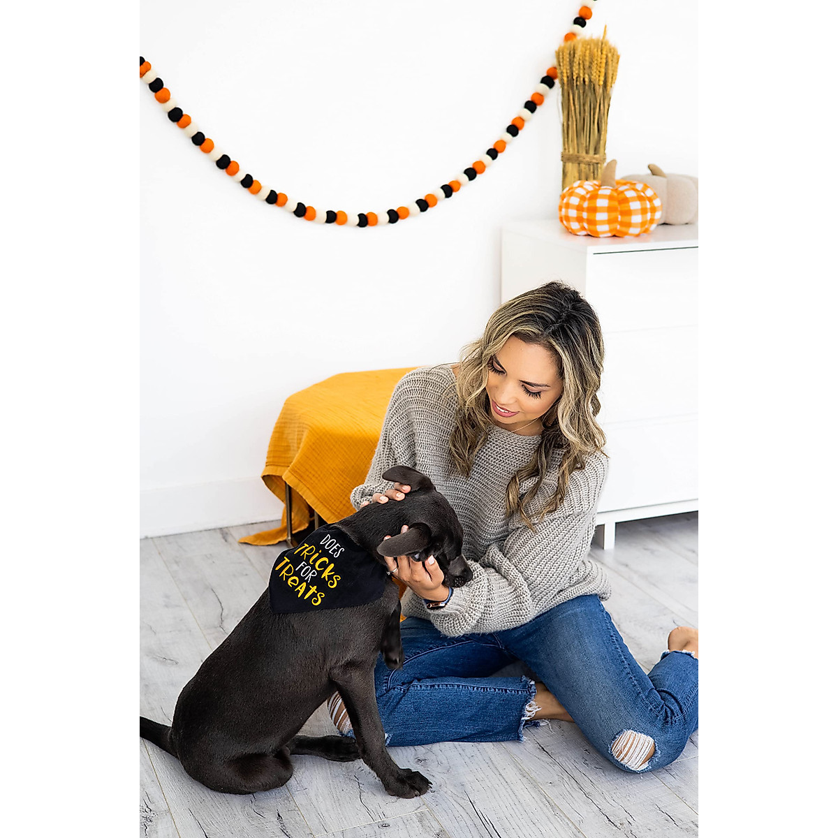 Pearhead Trick or Treat Bandana, Fall Holiday Dog Apparel, Halloween Dog Costume, Dog Slip On Collar Accessories, Small/Medium, S/M