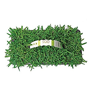 Cannot Ship to CA/AZ SodPods® St Augustine Palmetto Grass Plugs (64Count) Natural, Affordable Lawn Improvement