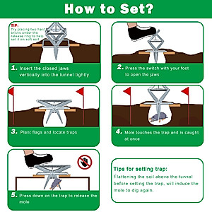 2 Pack Mole Traps That Kill Best, Vole Traps Outdoor Use Scissor Mole Traps for Lawns, Mole Trap Easy to Set Galvanized Steel Reusable Quick Capture Gopher