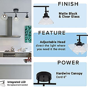 Catalina 23" Classic 3-Light Integrated LED Track Light with Adjustable Clear Glass Shades, Black