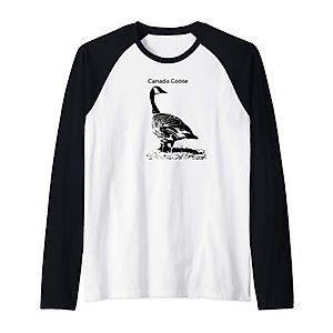 Canada Goose Standing Lookout Waterfowl Lover Raglan Baseball Tee