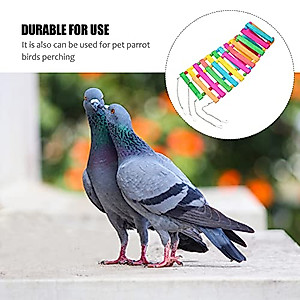 PATKAW Wooden Toys Parrot Toys Parrot Toys of 2 Chicken Swing Toy Pet Chicken Swing Toys Wood Chicken Swing Chicken Swing Toys Chicken Ladder: Climbing Climbing Toys Climbing Toys Parakeet Toys