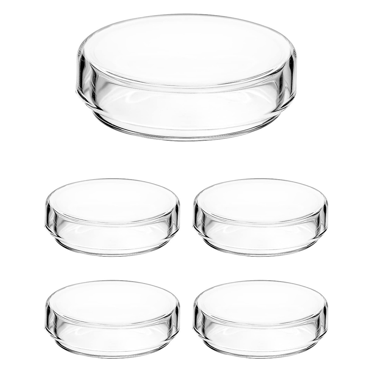 QWORK Glass Petri Dish Petri Plates with Lid, Thicken, 60mm x 18mm, 5 Pack