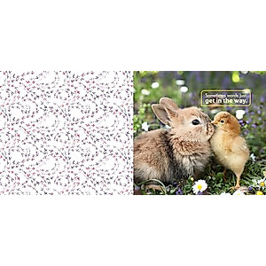 Chicken Wisdom Frame-Ups: 50 Inspirational Prints to Put You in a Fresh Frame of Mind