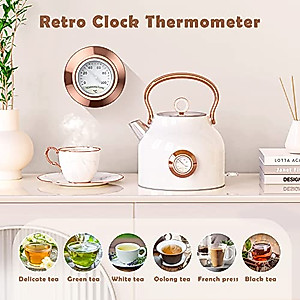 NESSGRAIM Retro Electric Kettle, 1.7L Stainless Steel Tea Kettle with Large Temperature Gauge, 1500W Fast Heating Hot Water Boiler with LED Indicator, Auto Shut-off & Boil-Dry Protection-Elegant White