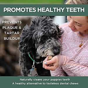 K9 Connoisseur Low to Odor Free Slow Roasted Beef Lung Dog Treats Made in USA, One Ingredient Dog Treats & All Natural Dog Treats, Grain Free Dog Treats for All Breeds & Sizes - 2.5 Pounds