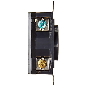 Leviton 2420, Image