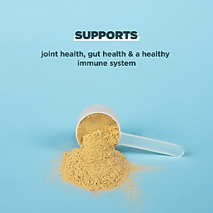 Ancient Nutrition Protein Powder Made from Real Bone Broth, Vanilla, 20g Protein Per Serving, 40 Serving Tub, Gluten Free Hydrolyzed Collagen Peptides Supplement, Great in Protein Shakes