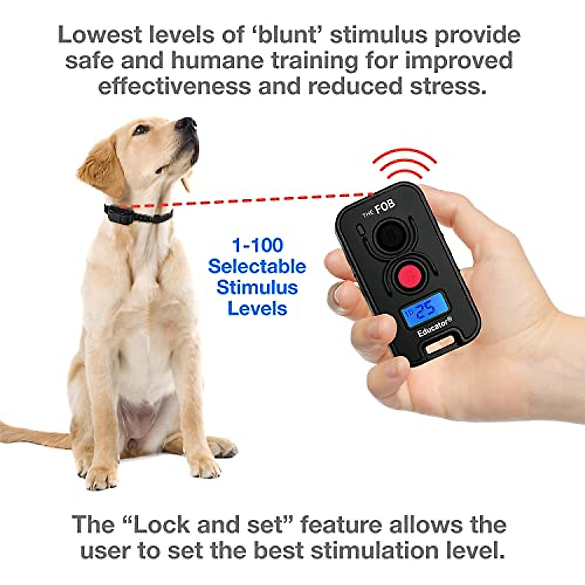 Educator FOB 300 Yard Dog Training Collar with Remote and Finger Button, Humane Stimulation, Pavlovian Tone, Waterproof, Odorproof Biothane Collar, Night Light, Rechargeable, 1 Dog (USA Only), Black