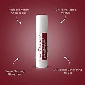 WBM Lip Balm, Formulated with Cherry & Shea Butter, Moisturization Lip Care For All Day Hydration, 100% Natural, Organic Chapstick, 1 Count (2 Pieces) - 0.30 Ounce