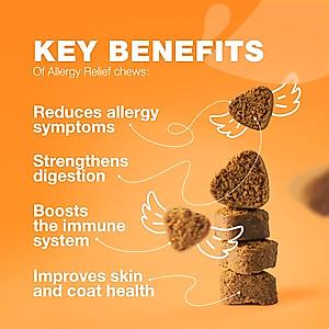 Dog Allergy Relief Chews - Itch Relief for Dogs - Anti Itch - Dog Allergy Chews - US Formulated Dog Itching Skin Relief with Salmon Oil - Immune Health, Seasonal Allergies & Hot Spots Support Treats
