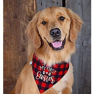 Family Kitchen My First Easter Red Plaid Pet Dog Bandana Scarf Decorations Accessories for Dog Lovers Owner Easter Gift