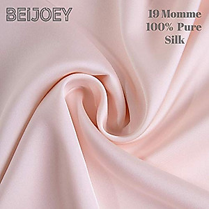 BEIJOEY 100% Mulberry Silk Pillowcase for Hair and Skin,with Hidden Zipper,Both Sides 19 Momme 600 Thread Count Natural Silk Pillow Cover,Soft Breathable Smooth (Light Pink, Standard 20''x26'')