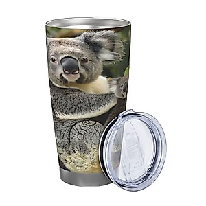 AYCZN Koala On Branch 20 OZ Tumbler Stainless Steel Travel Coffee Mug, Cute Animal Insulated Water Bottle with Lid and Straws Leakproof Thermal Cup