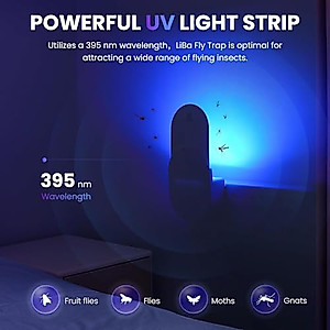 LiBa Fly Trap Indoor for Home, Plug-in Flying Insect Trap for Flies, Fruit Flies, Moths, Gnats, Mosquito Killer Insect Catcher Fly Tapper with 3 Refill Glue Cards for Home Office