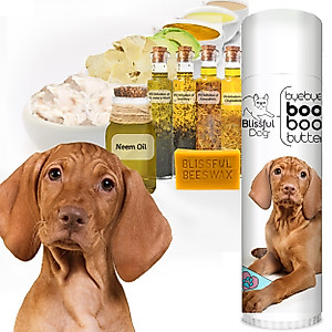 The Blissful Dog .50 oz Tube Vizsla Booboo Butter