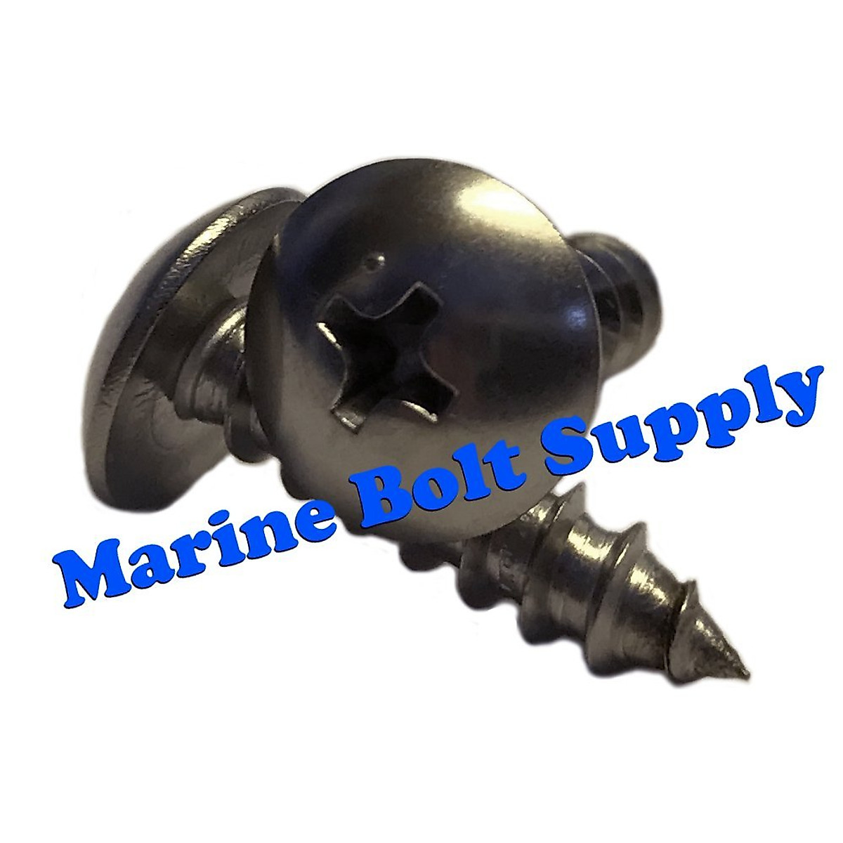 Type 316 Stainless Steel Phillips Truss Sheet Metal Screw Kit Marine Bolt Supply 6-111920