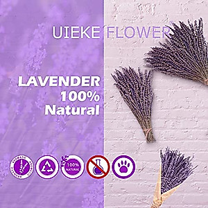 Dried Lavender Bundles, Uieke Natural Dried Lavender Flowers 280-300 Stems 16“ for Home Weeding Decoration Flower Arrangements Home Fragrance 2 Bundles