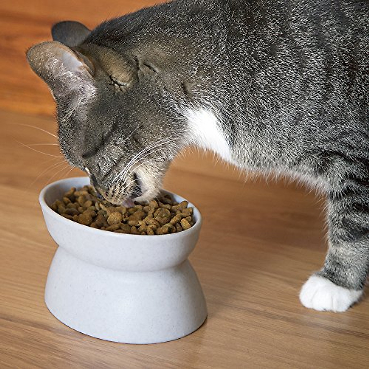 Kitty City Raised Cat Food Bowl Collection_Stress Free Pet Feeder and Waterer