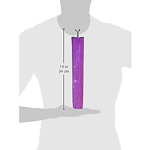 PENN-PLAX Bird-Life Calcium Bird Perch – Naturally Trims Nails & Beak – Great for Cockatoos, Amazons, African Greys, and Other Large Parrots and Birds – 12” Long