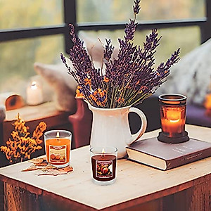 20 Packs Scented Aromatherapy Candle with 10 Fragrances, 1.8 Oz Soy Votive Candle for Home Decoration, Candle Gifts Baskets for Christmas Thanksgiving Anniversary