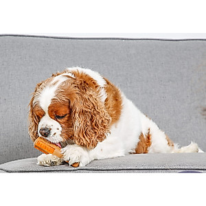 Hartz Chew ‘n Clean Chicken Flavored Drumstick Dog Treat & Chew Toy, Small, 2 Pack