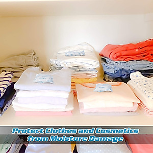 SurpOxyLoc 100 Gram(10Packs) Food Grade Silica Gel Packs Dessicant Packets for Moisture Control,Cobalt Chloride Free Moisture Absorbers for Food Storage