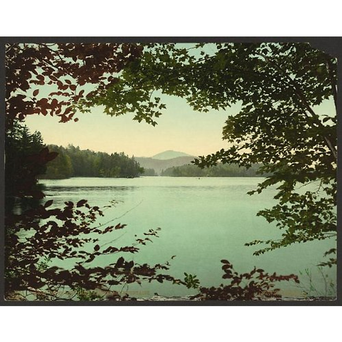 HistoricalFindings Photo: Upper Loon Lake,Trees,Mountains,Rivers,Adirondack Mountains,New York,NY,c1902