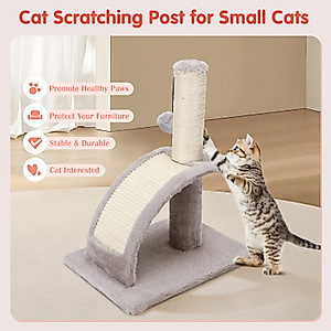 Nobleza Cat Scratching Post for Indoor Cats, Durable Natural Sisal Rope Cat Scratch Post with Cat Self Groomer, Sturdy Cat Scratcher Post for Kittens Small Cats with Funny Hanging Ball, Light Grey